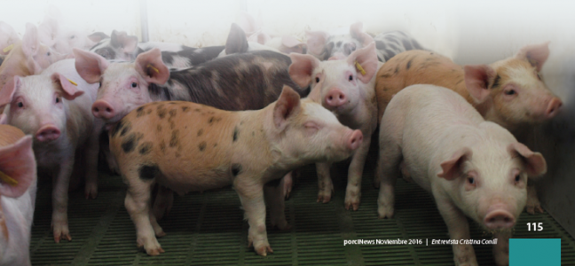 Entrevista con Cristina Conill - porciNews, la revista global del porcino