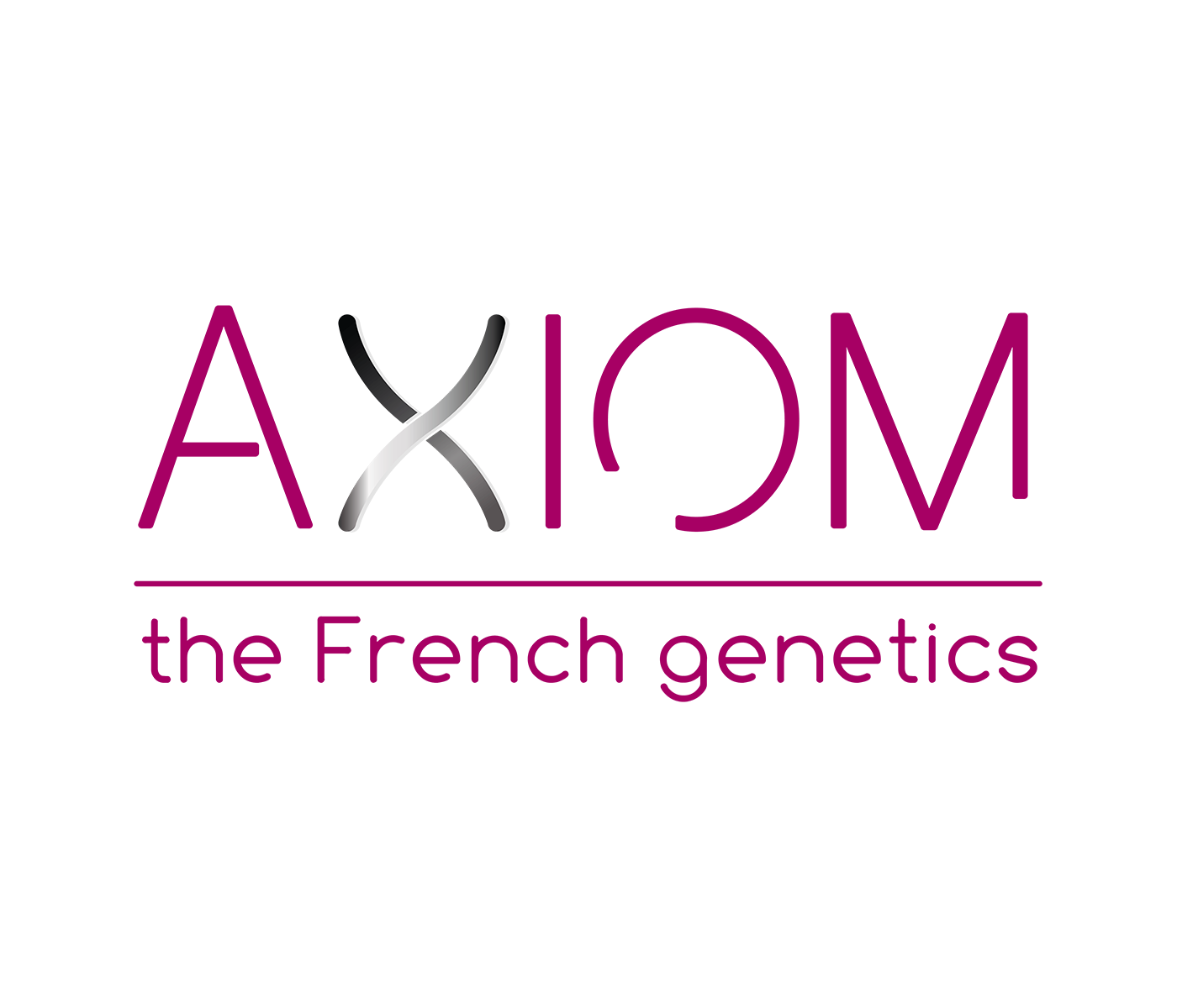 Primera Asamblea General del Grupo AXIOM