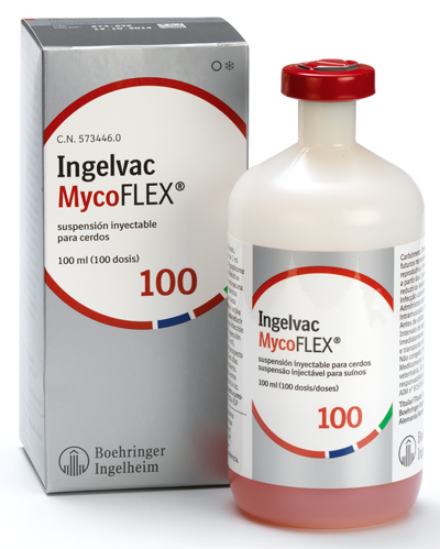 El papel de Mycoplasma hyopneumoniae en el complejo respiratorio