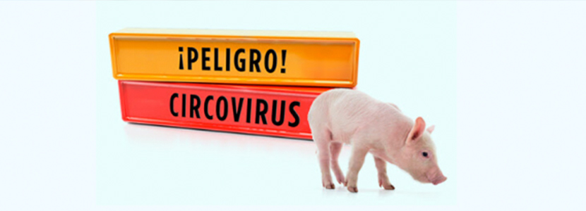 Entrevista con Jesús Bollo - Interview with Jesus Bollo