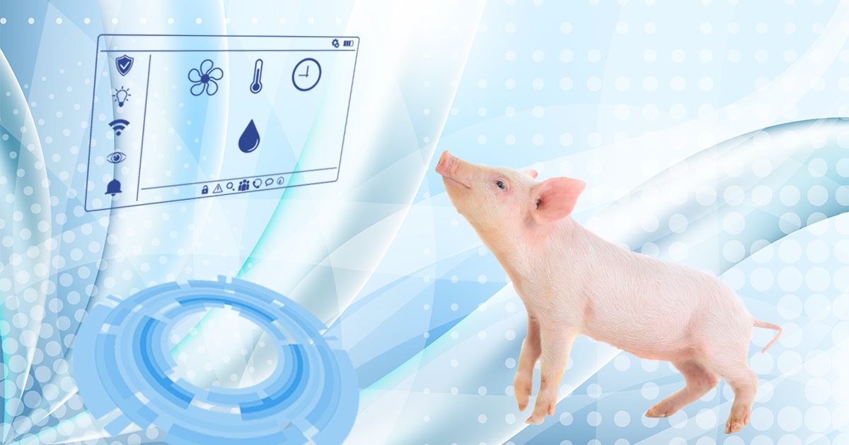 Controlador de clima CTI70 - CTI70 climate controller