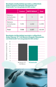 Diarreas neonatales en porcino - La vacunación y el manejo son las claves