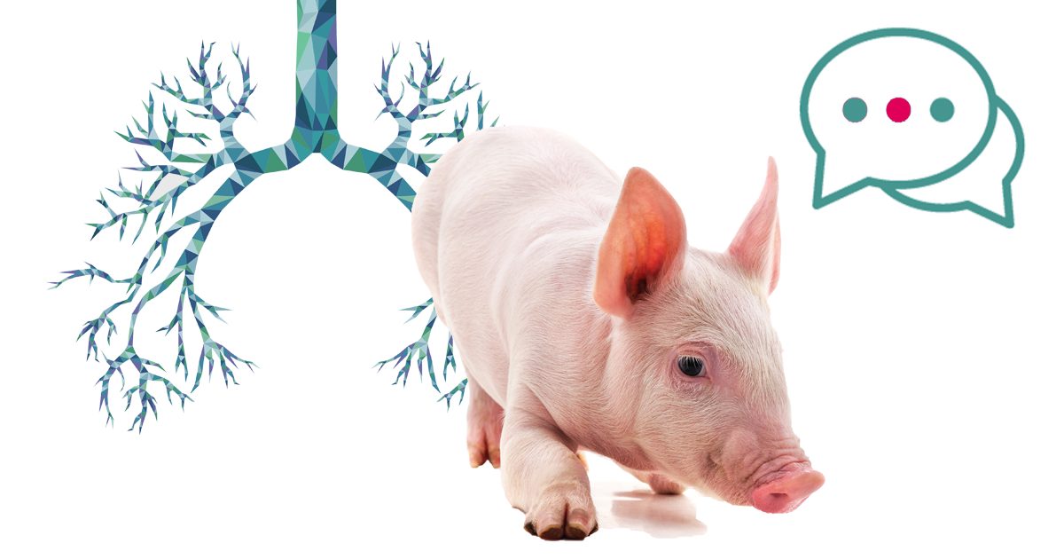 Entrevista con Marta Jiménez & Jesús Bollo de MSD A.H.