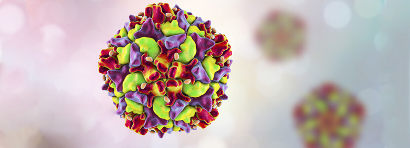 Veterinarios realizan simulacros ante posibles brotes de fiebre aftosa