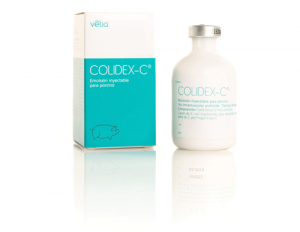 La vacunación frente a la colibacilosis del lechón destetado