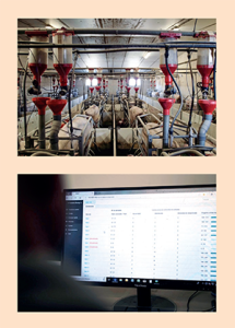 Bifet Gracia Farm & Nedap - Automated feeding in swine nurseries