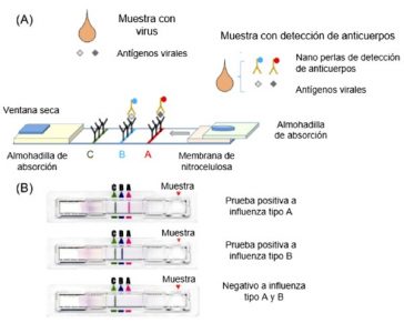 pruebas rápidas, en el diagnóstico temprano de enfermedades porcícolas