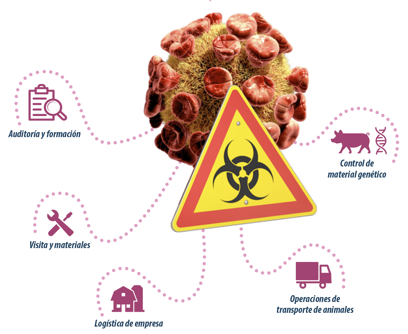 ¿Dónde podemos mejorar en el control del PRRS a nivel práctico?