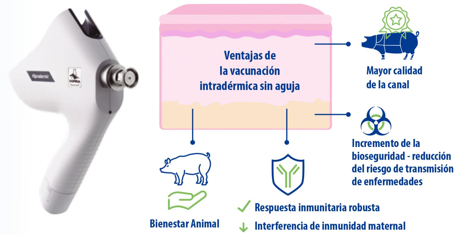 Entrevista con Nacho Bernal - Corporate Brand Manager MYOSPHERE® PCV ID