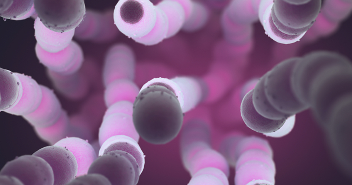 Las estreptococias porcinas que cursan con signos nerviosos