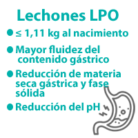 Factores de riesgo de úlceras gástricas en lechones en transición