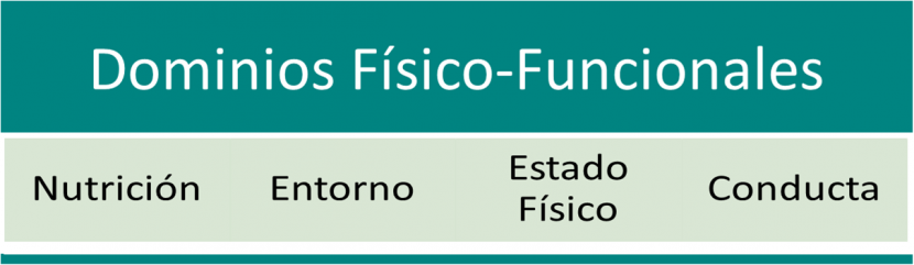 5 dominios del bienestar animal, ¿de qué hablamos?