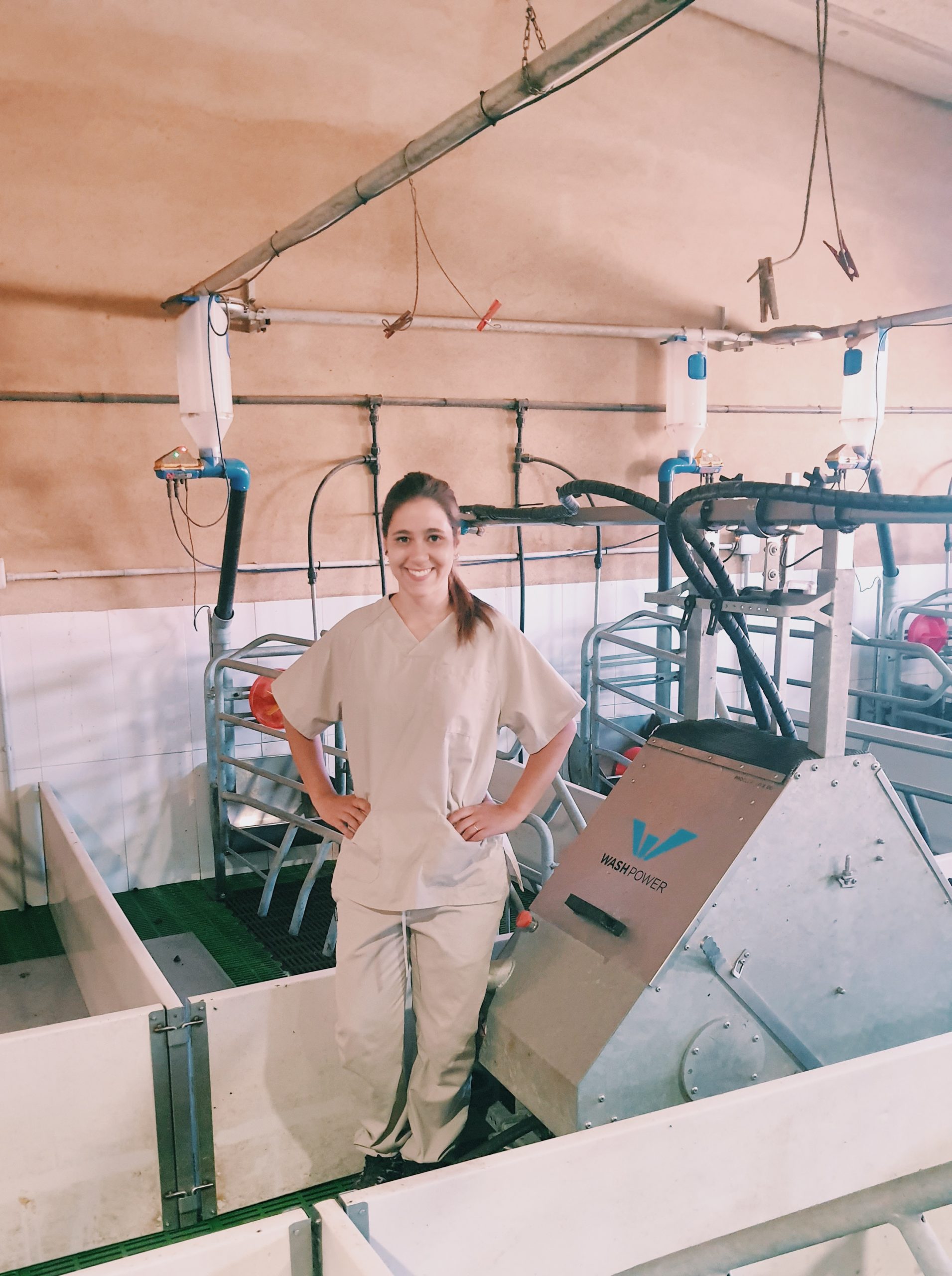 Limpieza eficiente de granjas porcinas con PROCLEANER X100