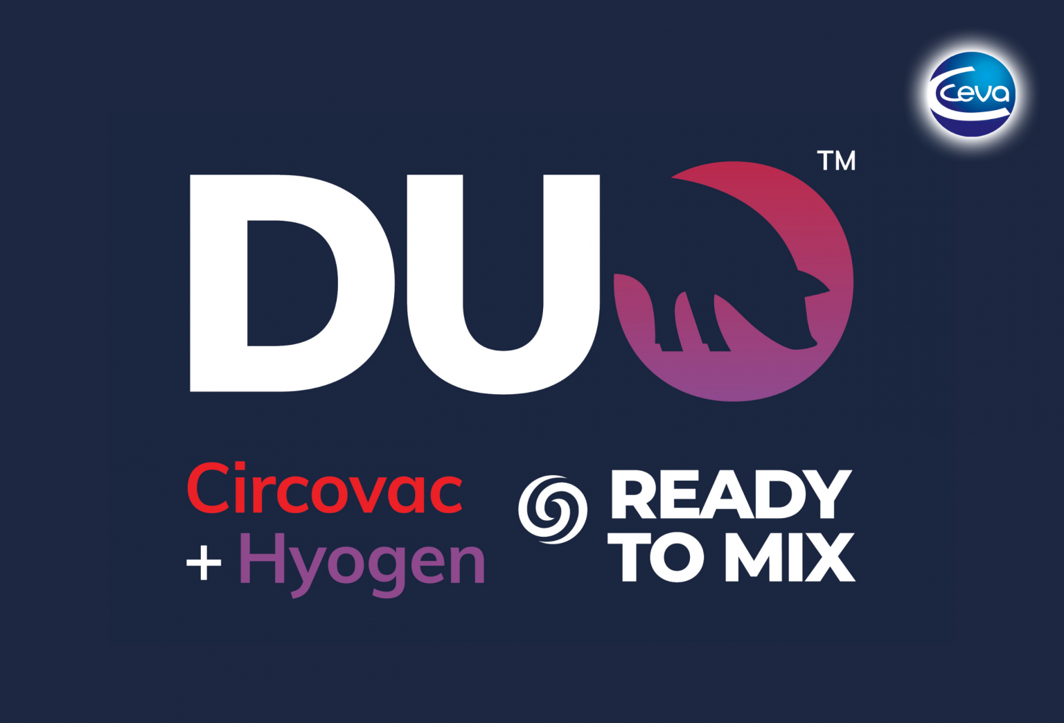 Ceva combina efectividad de sus vacunas frente a Mhyo y PCV2 con DUO