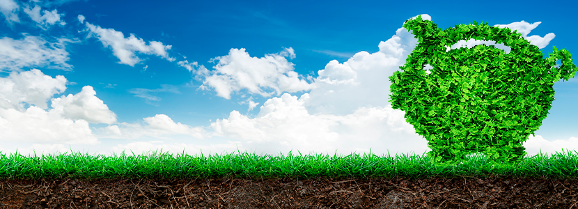 Se repartirán más de 145 millones de € para medidas de desarrollo rural ...