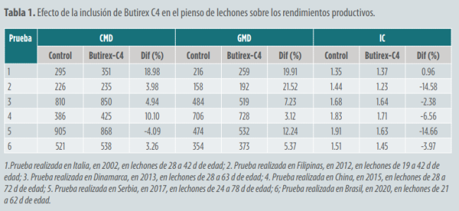 Alimentando el intestino y minimizando el trauma post destete