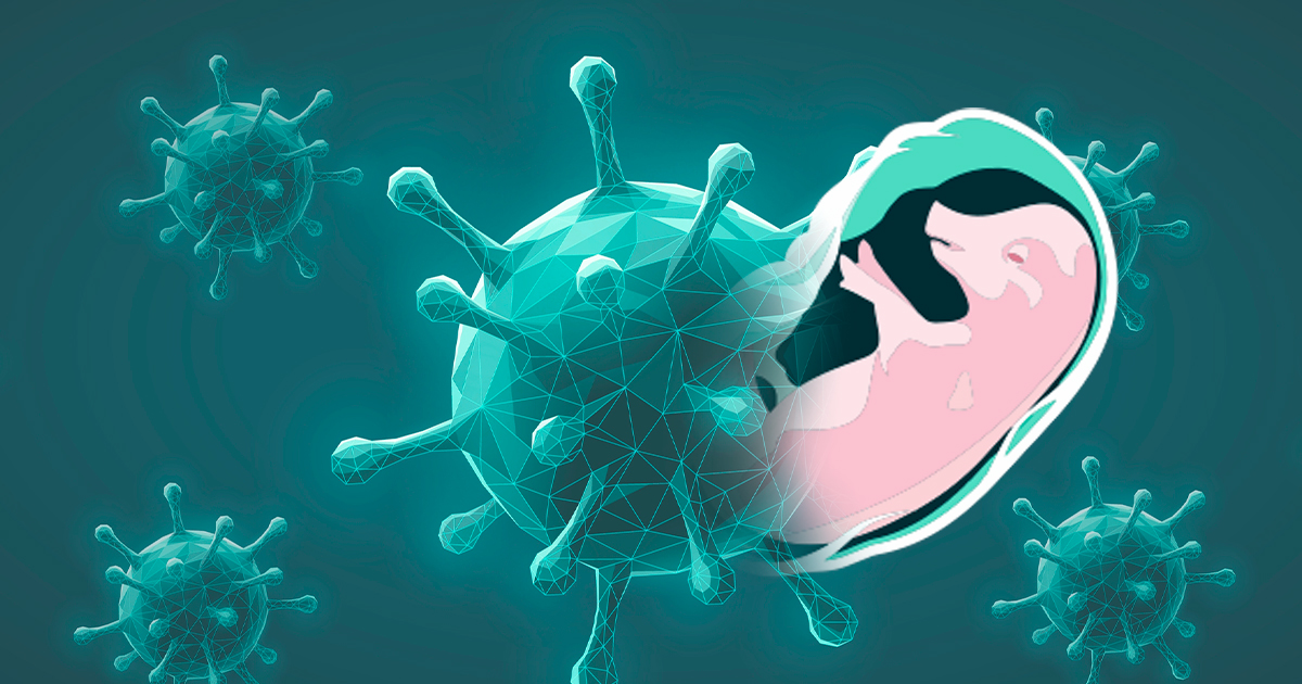 Infección de fetos con PRRSV resulta en supresión del ciclo celular ...