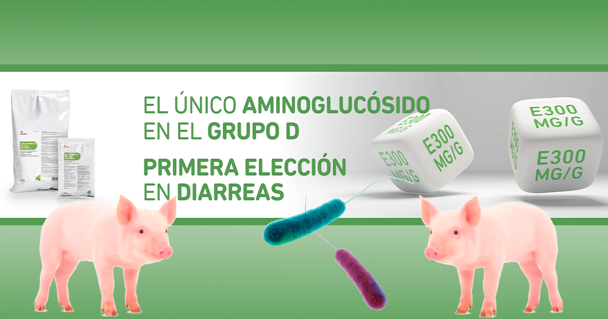Espectinomicina 300 Ganadexil - Tratamiento para infecciones digestivas