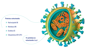 Aproximación diagnostica y alternativas para monitorizar el PRRSV