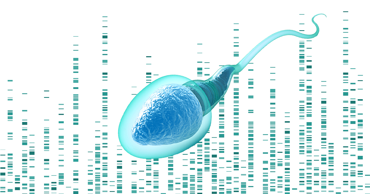Explorando el proteoma del tejido testicular del verraco