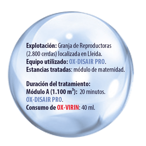 No todo vale frente a Peste Porcina Africana, PRRS y otras patologías ...