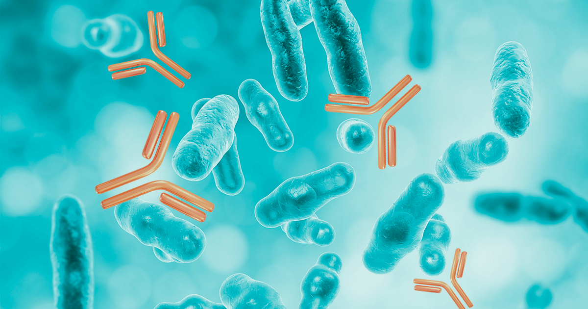 Detección de anticuerpos frente a Cl. perfringens y eficacia vacunal