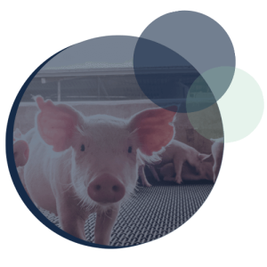 AB Neo Fraga ha inaugurado su nuevo Centro de Excelencia