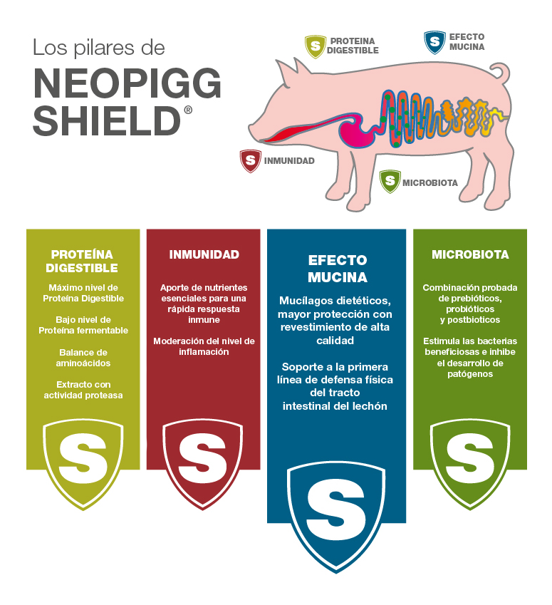 Diseñar dietas de lechones sin óxido de zinc - El efecto mucina