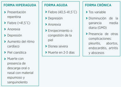 ¿Te preocupa la pleuropneumonia porcina (App)?