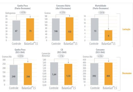 BalanGut™ LS, melhoria em saúde intestinal e performance