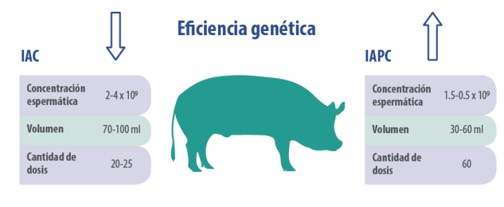 Inseminación artificial post cervical vs cervical