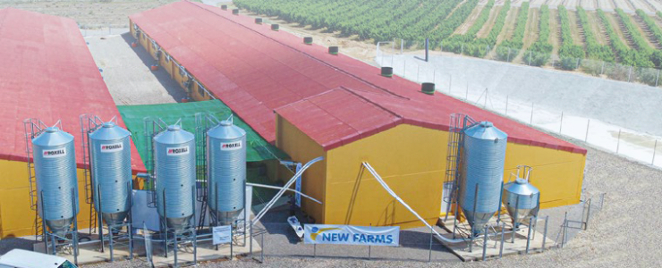 Multifast® Roxell y Ventilación Fancom: Crecimiento de lechones