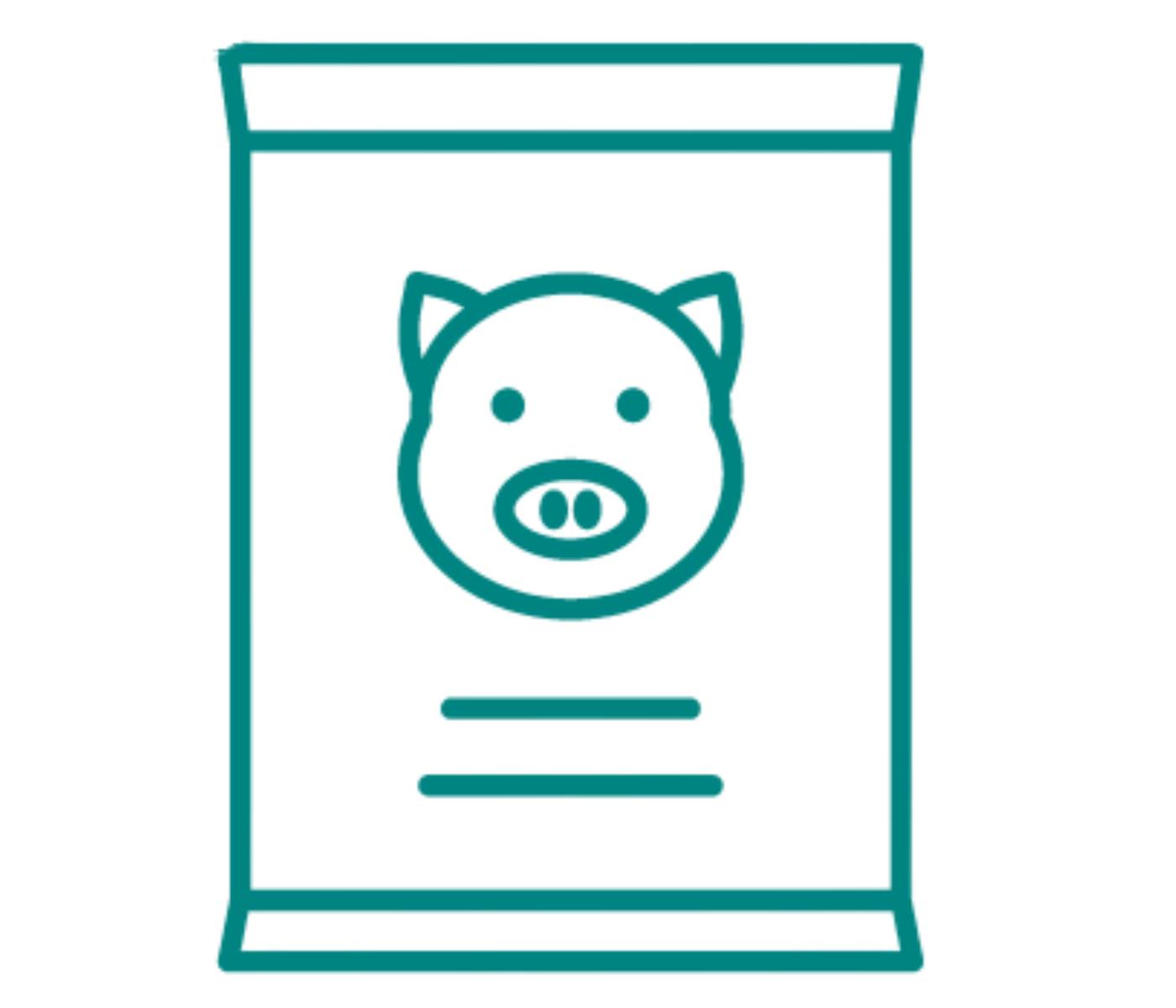 BalanGut™ LS, melhoria em saúde intestinal e performance