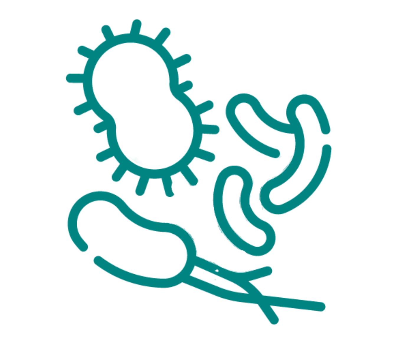 BalanGut™ LS, melhoria em saúde intestinal e performance