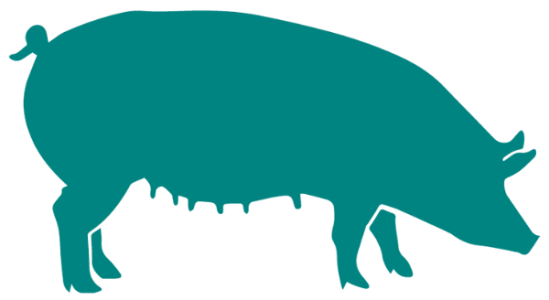 Manejo de micotoxinas: Como reduzir impactos no desempenho e o estresse ...