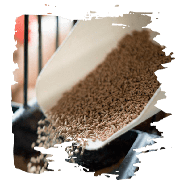 Estrategias alimentarias para prevenir diarreas en producción porcina ...