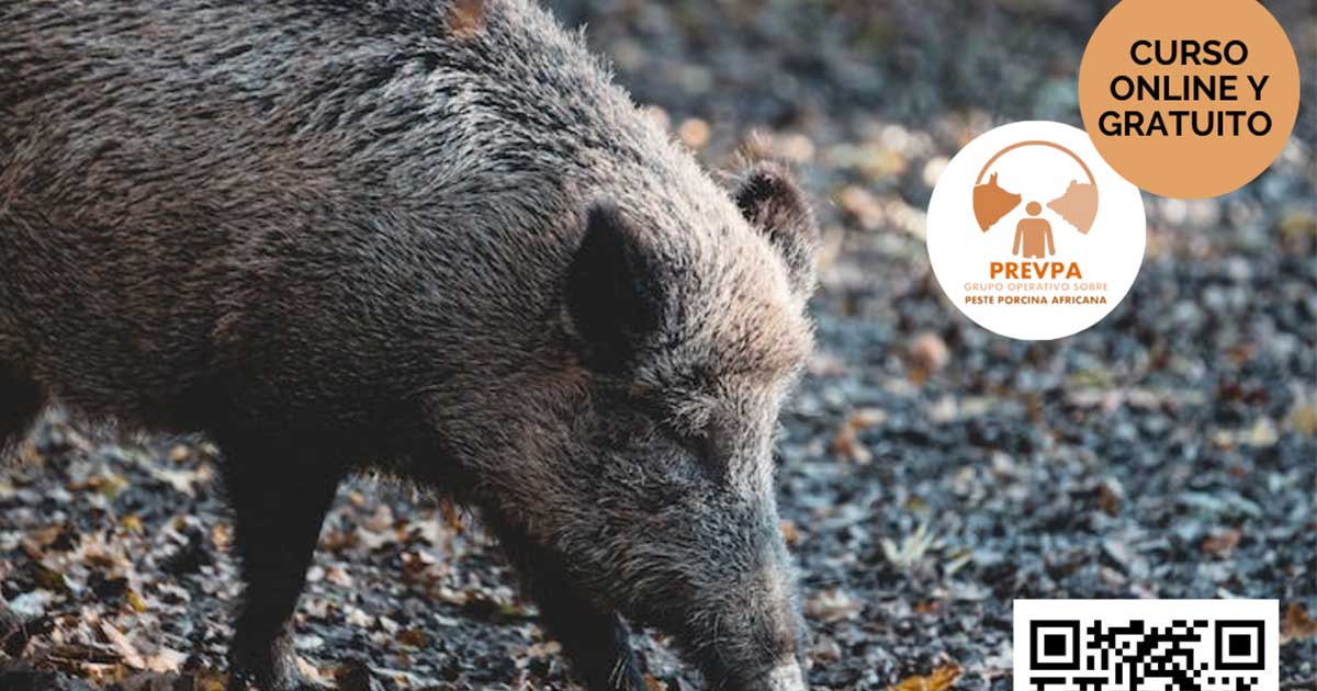 El GO PREVPA lanza un curso sobre la sobreabundancia del jabalí