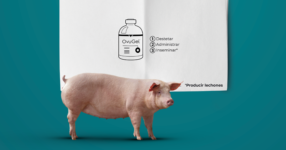 Con OvuGel®, simplemente fácil