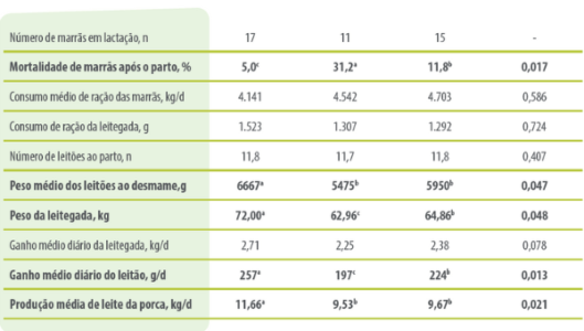 Reduzindo o estresse oxidativo e melhorando o desempenho de porcas em ...