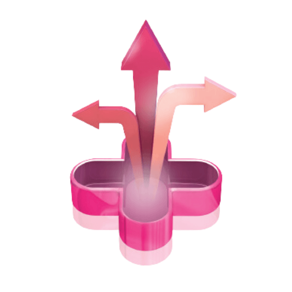Mais que energia: uso de ROVABIO® para otimizar a digestibilidade dos ...