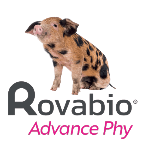 Mais que energia: uso de ROVABIO® para otimizar a digestibilidade dos ...