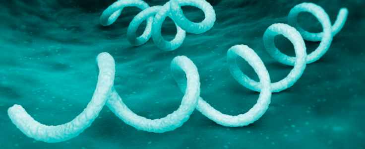 Sensibilidad antibiótica de Brachyspira hyodysenteriae