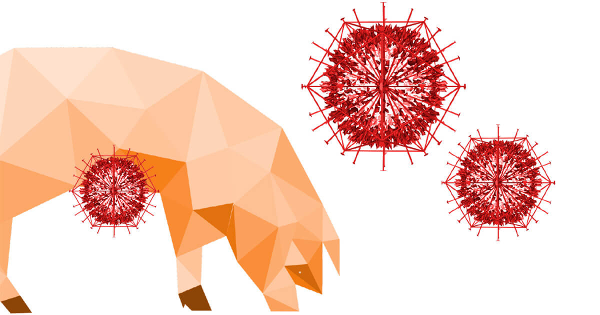 Un acercamiento al circovirus porcino tipo 3 (PCV-3)