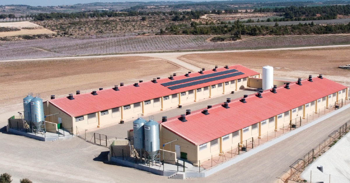 Granja inteligente I-Farms de New Farms: Revolucionando engorde