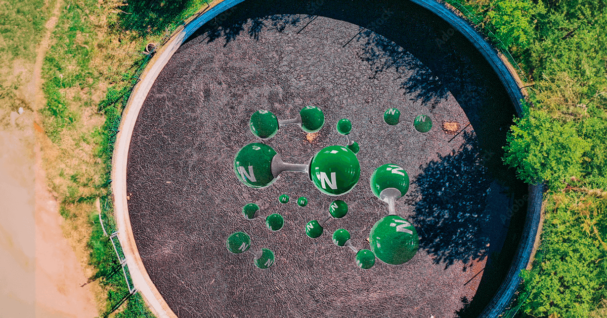 Acidificación de deyecciones en balsas - Proyecto ACIDEMO