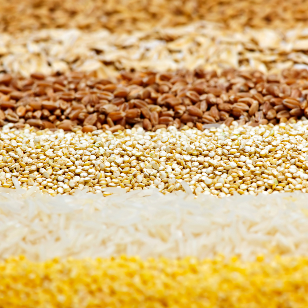 El ICA Avanza en la Regulación de Semillas Nativas y Criollas