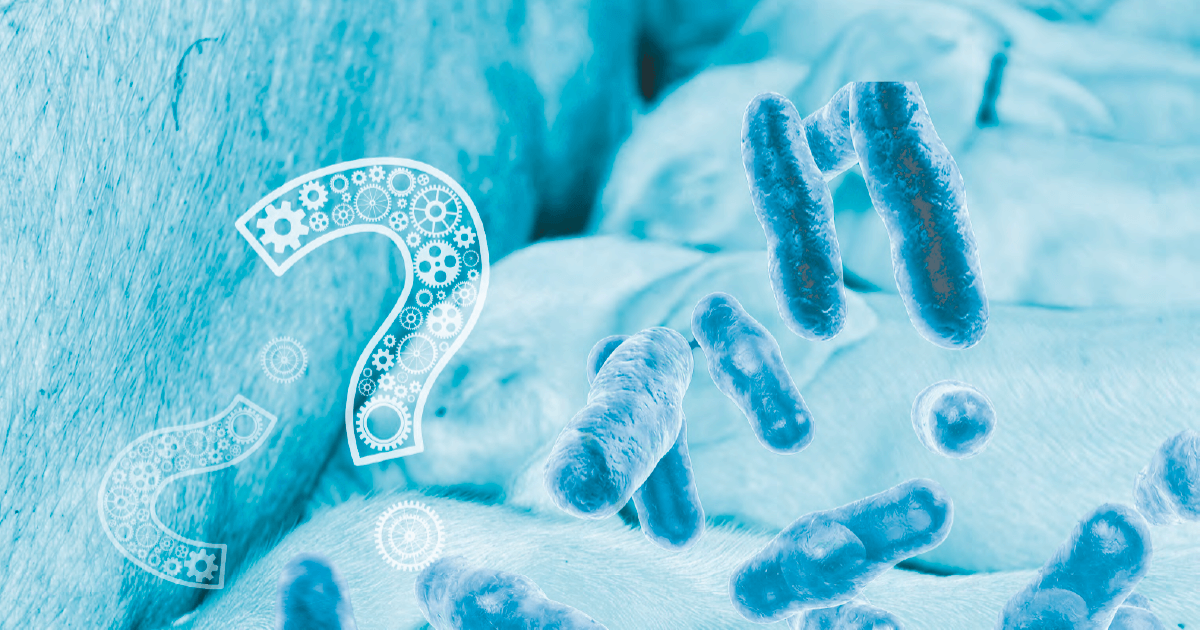 ¿Cómo maximizar control de diarrea neonatal en granjas porcinas?