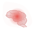 S. suis: Diagnóstico, serotipos y sensibilidad antibiótica
